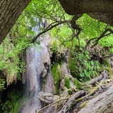 Gorman Falls Trail, Texas - 1,125 Reviews, Map | AllTrails