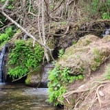 Gorman Falls Trail, Texas - 1,125 Reviews, Map | AllTrails
