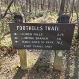 Hidden Falls Trail, South Carolina - 721 Reviews, Map | AllTrails