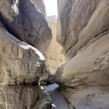 The Slot, California - 2,591 Reviews, Map | AllTrails