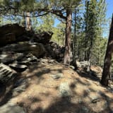 Coon Hollow Loop, South Dakota - 1,116 Reviews, Map | AllTrails