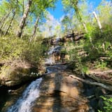 Hidden Falls Trail, South Carolina - 721 Reviews, Map | AllTrails