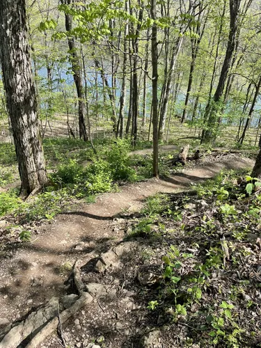 Best Historic Site Trails in Radnor Lake State Park | AllTrails