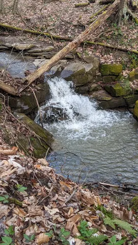 Best Hikes and Trails in Negley | AllTrails
