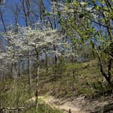 Blowing Springs Park Extended Loop, Arkansas - 1,697 Reviews, Map ...