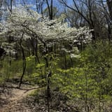 Blowing Springs Park Extended Loop, Arkansas - 1,697 Reviews, Map ...