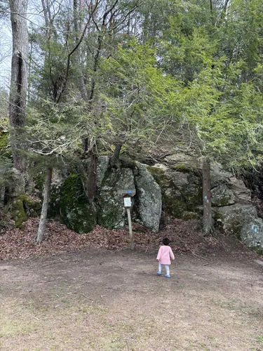 Best Long Trails in Pachaug State Forest | AllTrails