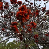 Back Bay Loop, California - 1,977 Reviews, Map | AllTrails