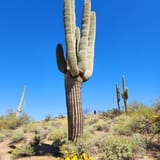 Hawes Ridge Loop, Arizona - 2,842 Reviews, Map | AllTrails