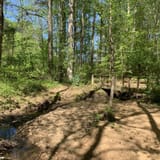 Lake Johnson West Loop Trail, North Carolina - 941 Reviews, Map | AllTrails