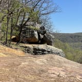 Whitaker Point Trail (Hawksbill Crag), Arkansas - 3,817 Reviews, Map ...