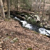 Zoar Trail, Connecticut - 2,148 Reviews, Map | AllTrails