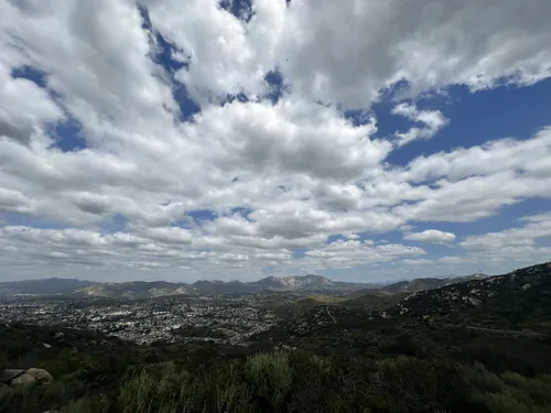 Best Wild Flowers Trails in Crestridge Ecological Reserve | AllTrails