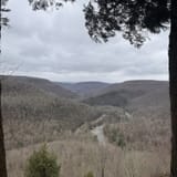 Canyon Vista Trail, Pennsylvania - 852 Reviews, Map | AllTrails