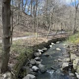 Moore Park Ravine Trail, Ontario, Canada - 1,327 Reviews, Map | AllTrails