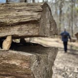 Speedwell Forge Hiking Trail, Pennsylvania - 1,098 Reviews, Map | AllTrails