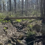Speedwell Forge Hiking Trail, Pennsylvania - 1,098 Reviews, Map | AllTrails