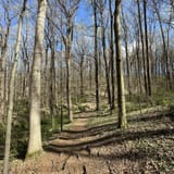 Speedwell Forge Hiking Trail, Pennsylvania - 1,098 Reviews, Map | AllTrails