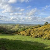 Burrough Hill and Leicestershire Circular Walk, Leicestershire, England ...