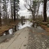 Reading Town Forest Inner Loop, Massachusetts - 418 Reviews, Map ...