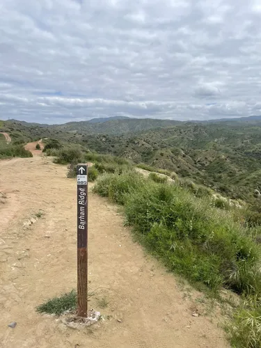 Best Wild Flowers Trails in Irvine Regional Park | AllTrails