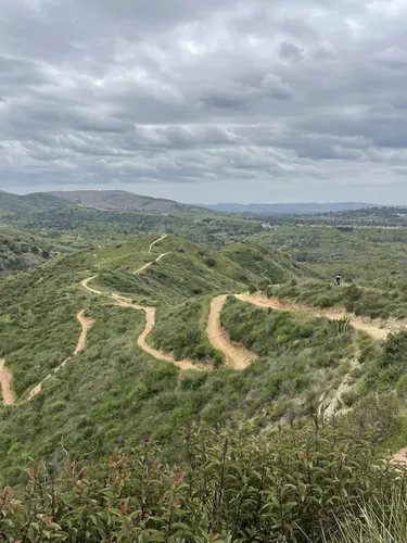 Best Wild Flowers Trails in Irvine Regional Park | AllTrails