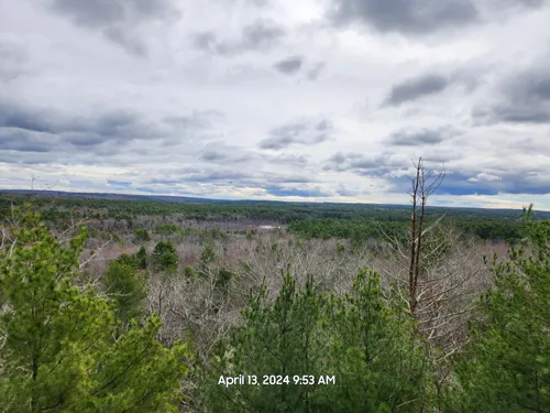 Best Long Trails in Pachaug State Forest | AllTrails