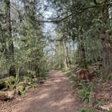 Nolte State Park Deep Lake, Washington - 609 Reviews, Map | AllTrails