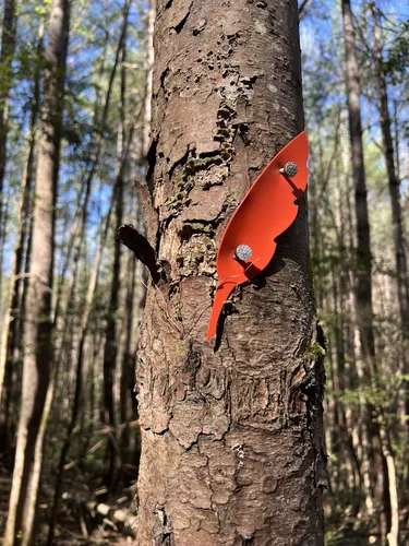 Best Hikes and Trails in Fonta Flora County Park | AllTrails