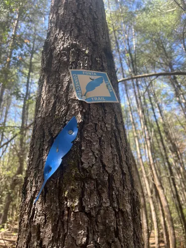 Best Hikes and Trails in Fonta Flora County Park | AllTrails