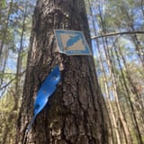 Fonta Flora Trail Loop, North Carolina - 1,715 Reviews, Map | AllTrails