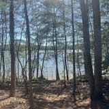 Fonta Flora Trail Loop, North Carolina - 1,715 Reviews, Map | AllTrails