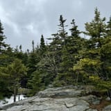 Haystack Mountain Trail, Vermont - 1,962 Reviews, Map | AllTrails