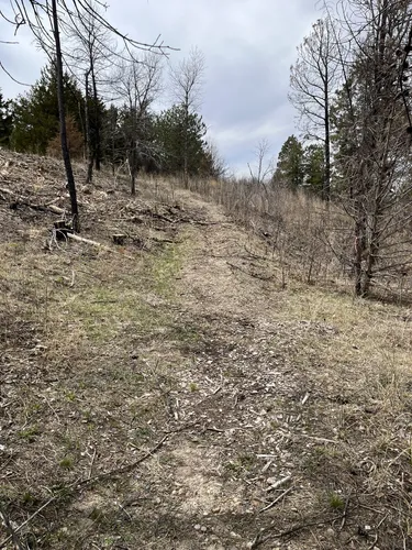 Best Moderate Trails in Nebraska National Forest | AllTrails