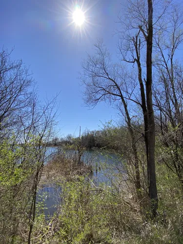 Best Lake Trails in Bartlett | AllTrails