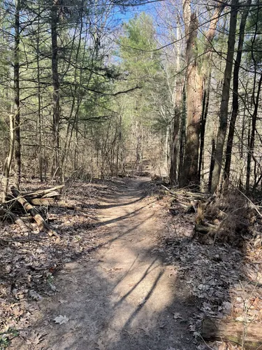 Best Short Trails in Yankee Springs Recreation Area | AllTrails