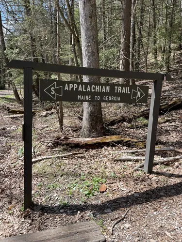 Best Trail Running Trails in Caledonia State Park | AllTrails