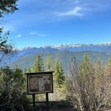 Mount Walker, Washington - 2,029 Reviews, Map | AllTrails
