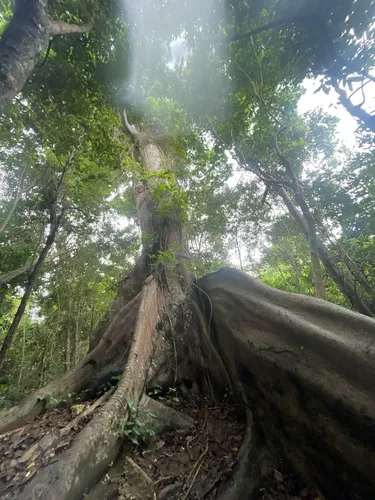 Best Hikes and Trails in Parque Julio E. Monagas | AllTrails