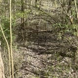 Sippo Lake Trail, Ohio - 720 Reviews, Map | AllTrails