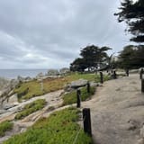 Pebble Beach Cruise, California - 395 Reviews, Map | AllTrails