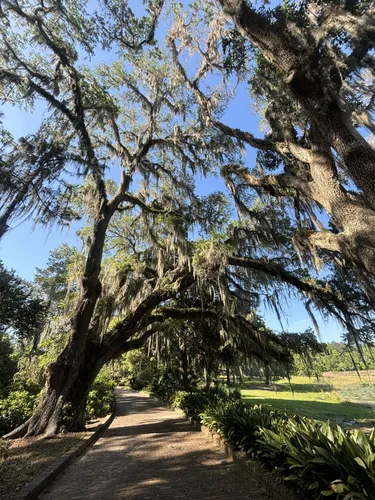 Best Hikes and Trails in Alfred B. Maclay Gardens State Park | AllTrails