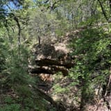 Cross Timbers Hiking Trail, Texas - 1,463 Reviews, Map | AllTrails