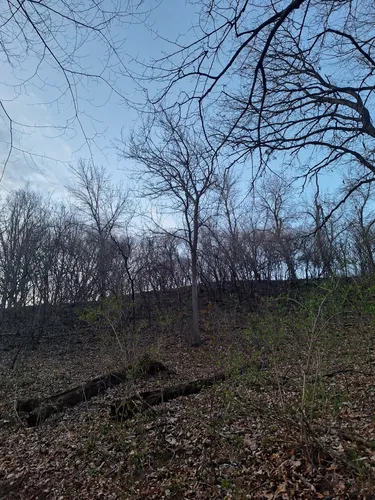 Best Views Trails in Stone State Park | AllTrails