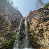 Fall Creek Falls Trail, Oregon - 367 Reviews, Map | AllTrails