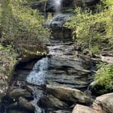 Hidden Falls Trail, South Carolina - 721 Reviews, Map | AllTrails