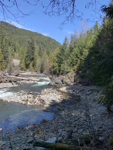 Best Hard Trails in Whistler Interpretive Forest | AllTrails
