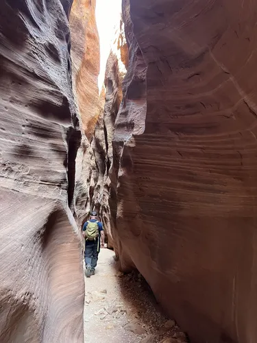 Best Long Trails in Paria Canyon-Vermilion Cliffs Wilderness Area ...