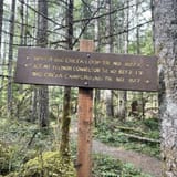Upper Big Creek Loop, Washington - 2,707 Reviews, Map | AllTrails