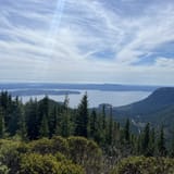 Mount Walker, Washington - 2,016 Reviews, Map | AllTrails